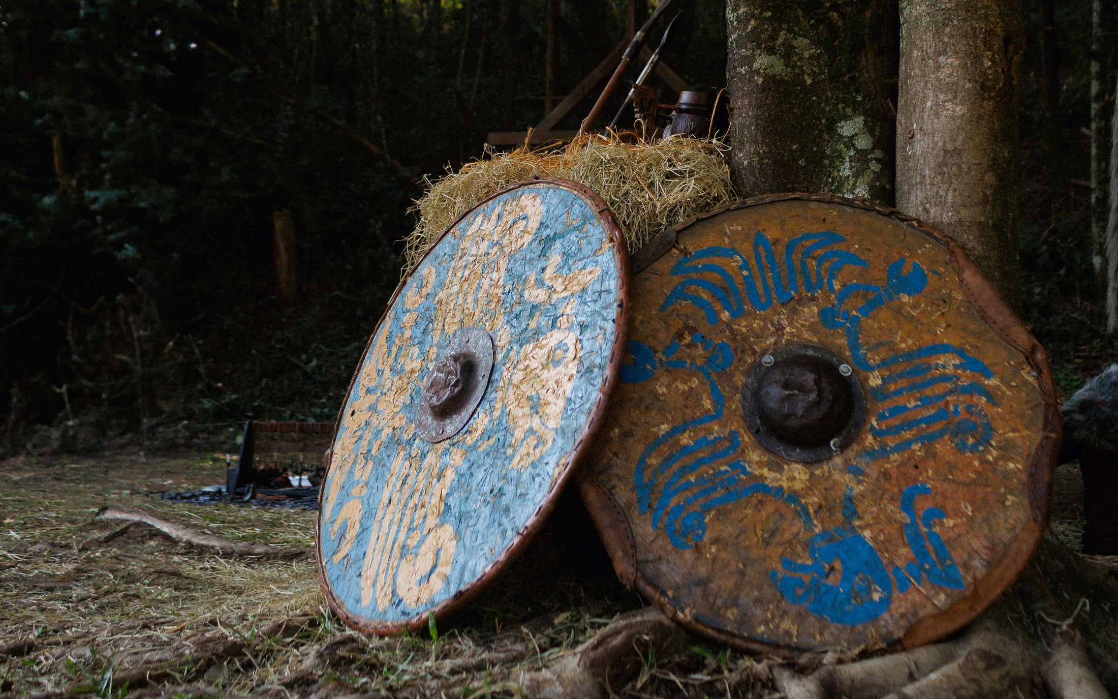 What Do The Patterns On Viking Shields Truly Symbolize? – vikingshields